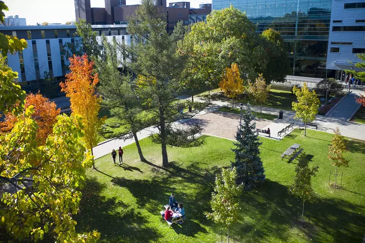 Carleton University, Ottawa: Admission, Courses, Fees, Ranking, Scholarship, Eligibility